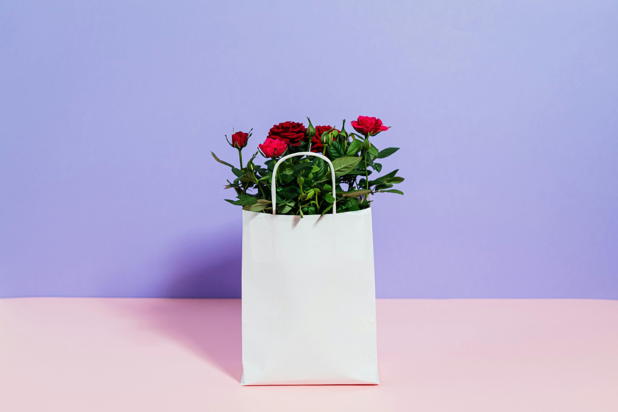 What to put in Hotel Wedding Gift Bags for Wedding Guests - You Can ...